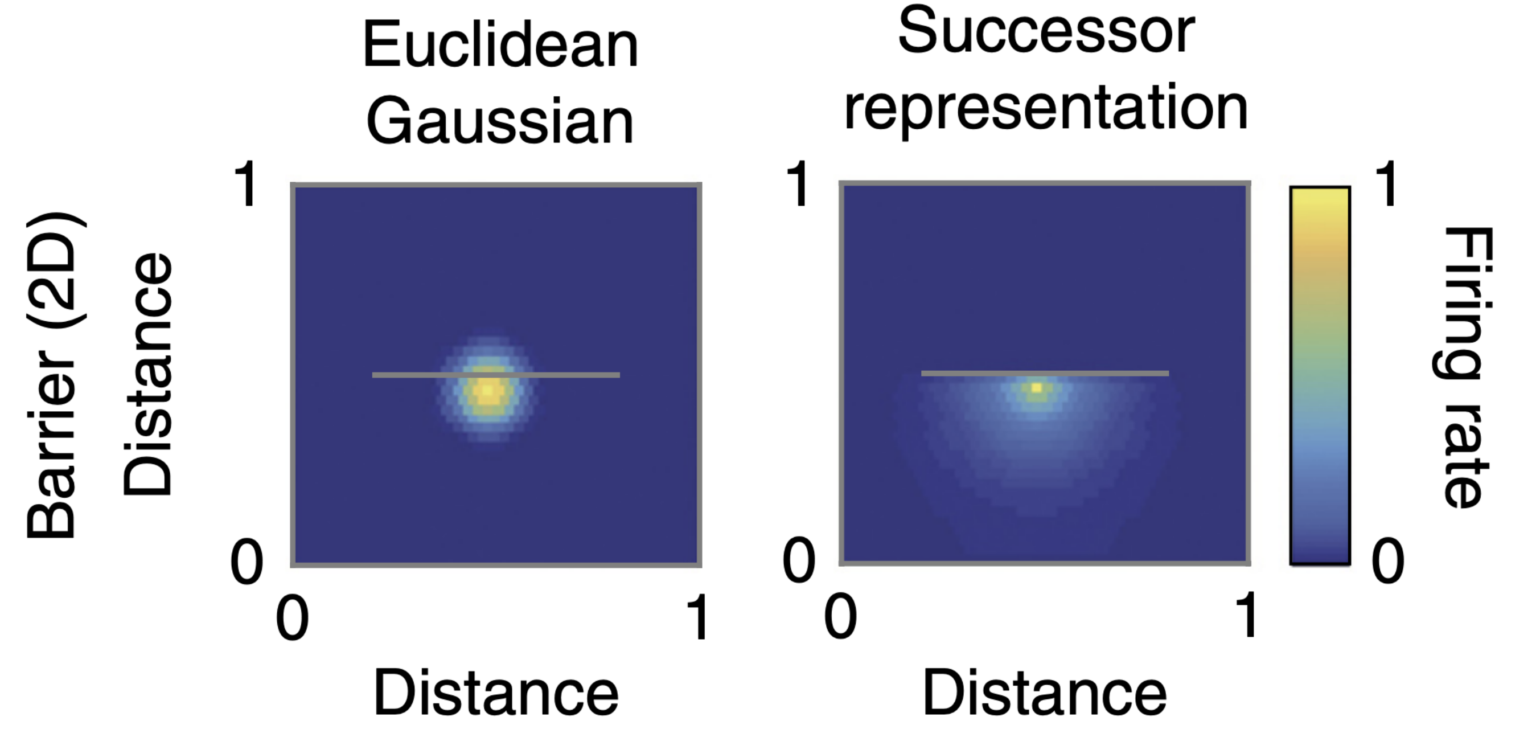 Curious Similarities Between AI Architectures and the Brain – NEUROTECH LAB