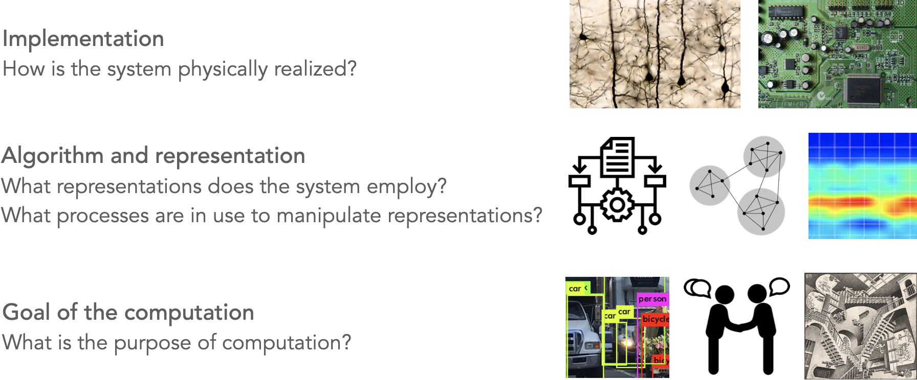 Curious Similarities Between AI Architectures and the Brain – NEUROTECH LAB