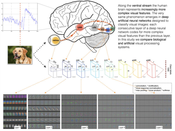 Intracortical electrodes in humans and deep learning for vision – NEUROTECH LAB